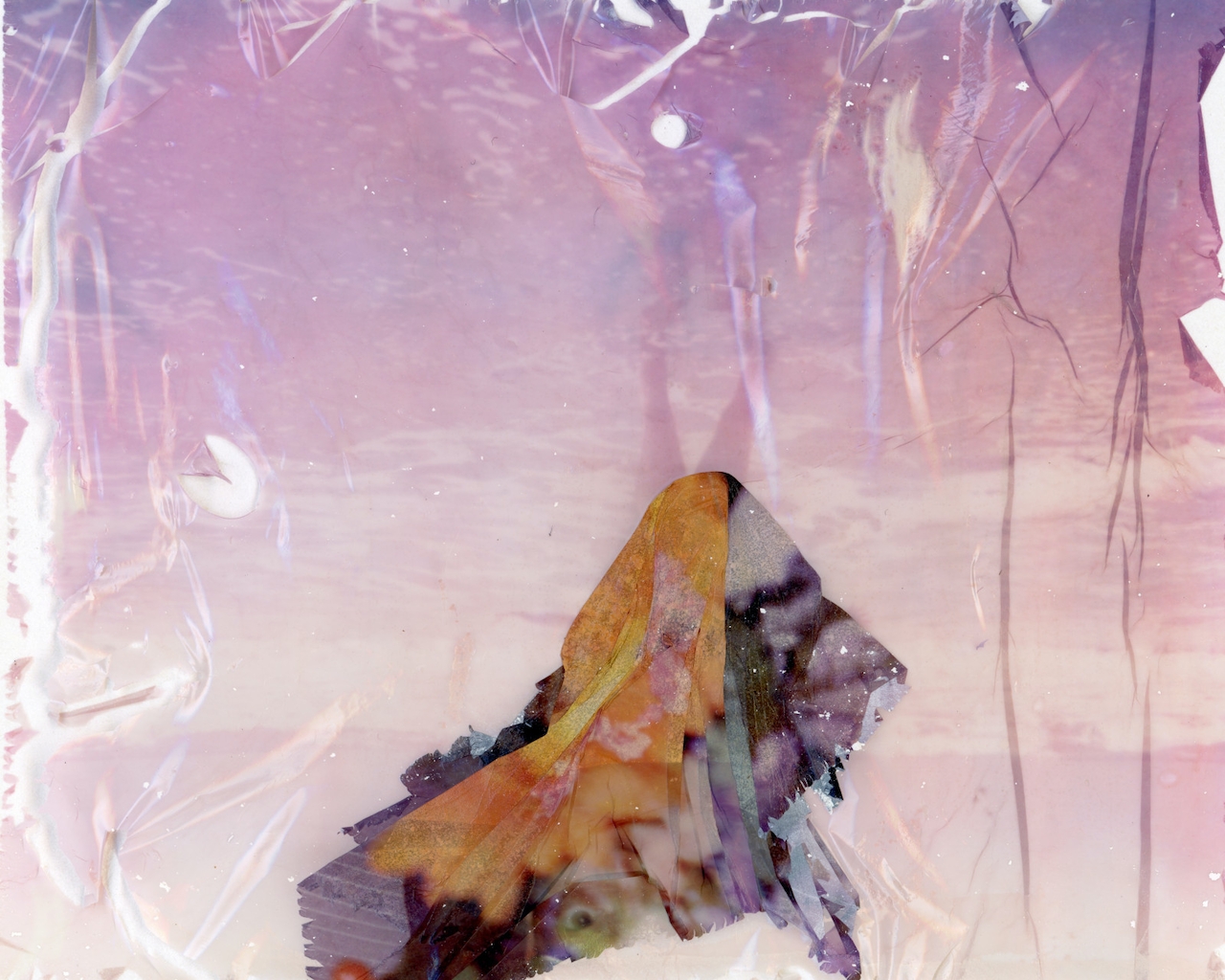 Designing in the Psychedelic Industry: A Journey of Color, Freedom, and ...