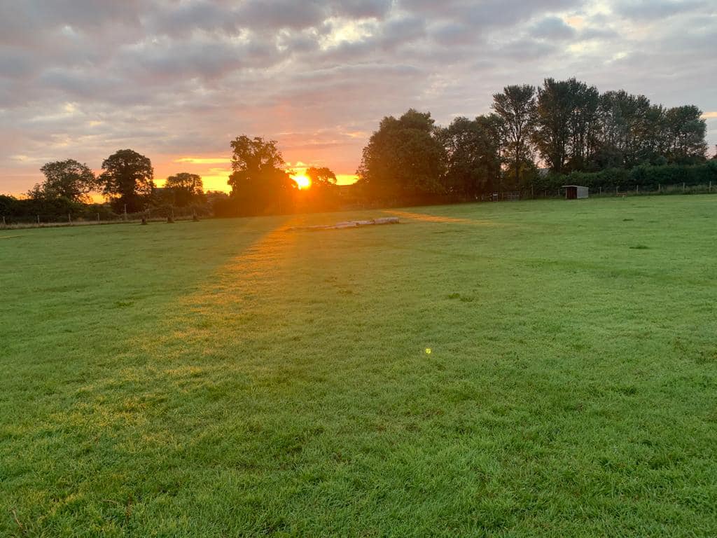 Popular Dog Field Near Me | Norfolk | Babblers Walk-In Field