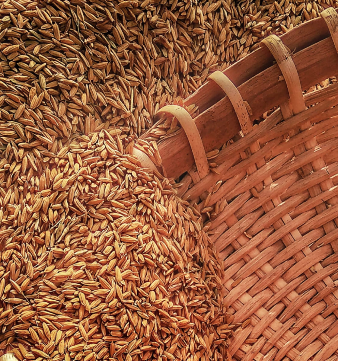 Kyle Craven — Designer & Webflow Developer