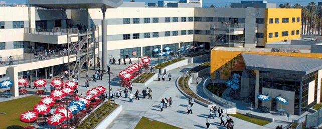 Siteline Case Study | Universal Metro, Inc.