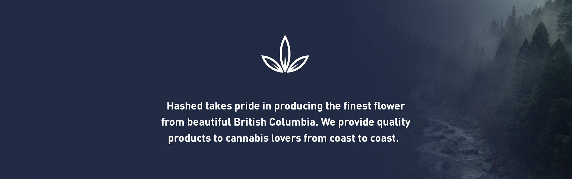 Hashed Brand Identity and Packaging Design | Kaejon Misuraca