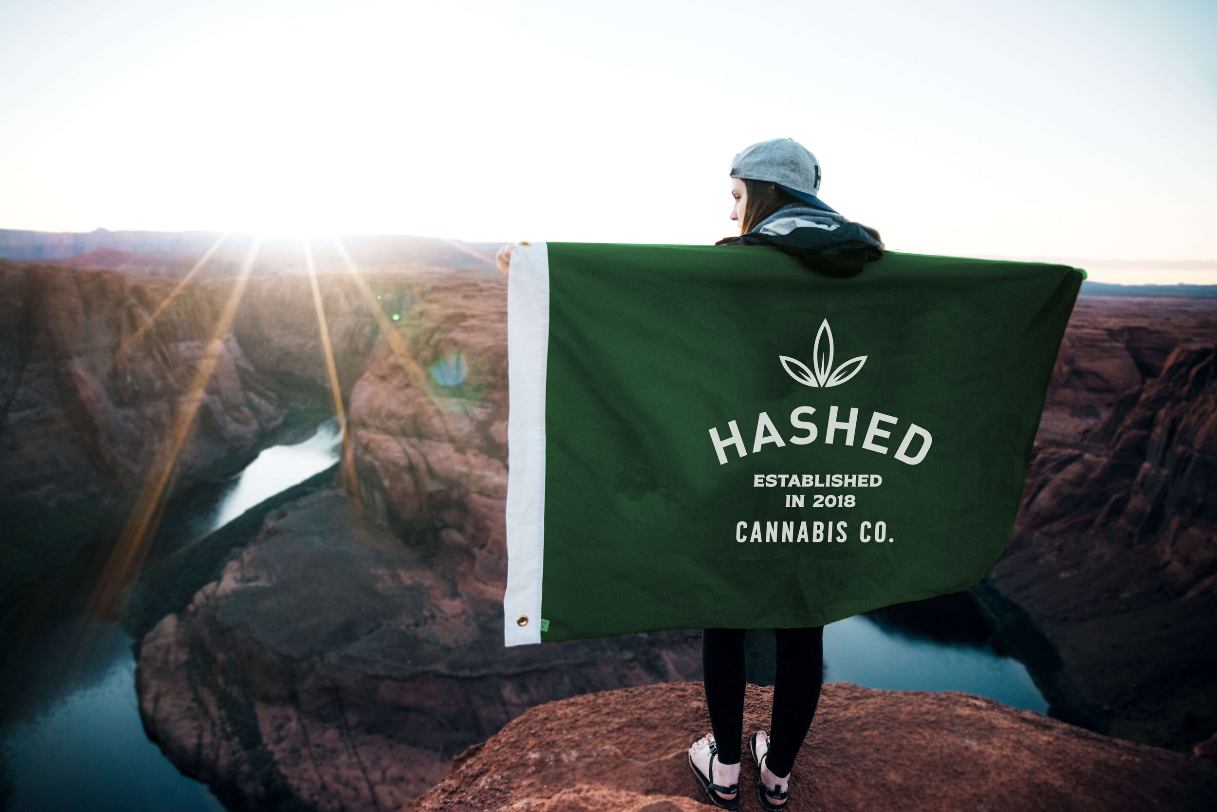 Hashed Brand Identity and Packaging Design | Kaejon Misuraca