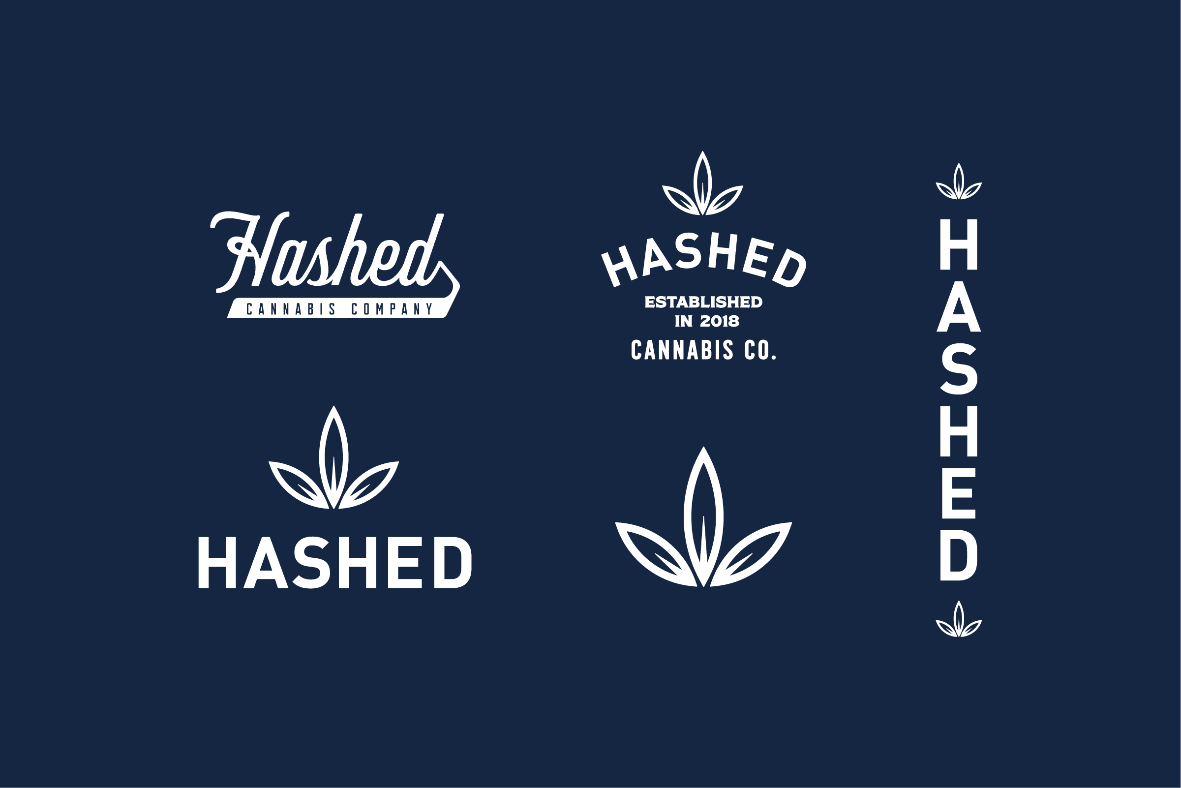 Hashed Brand Identity and Packaging Design | Kaejon Misuraca
