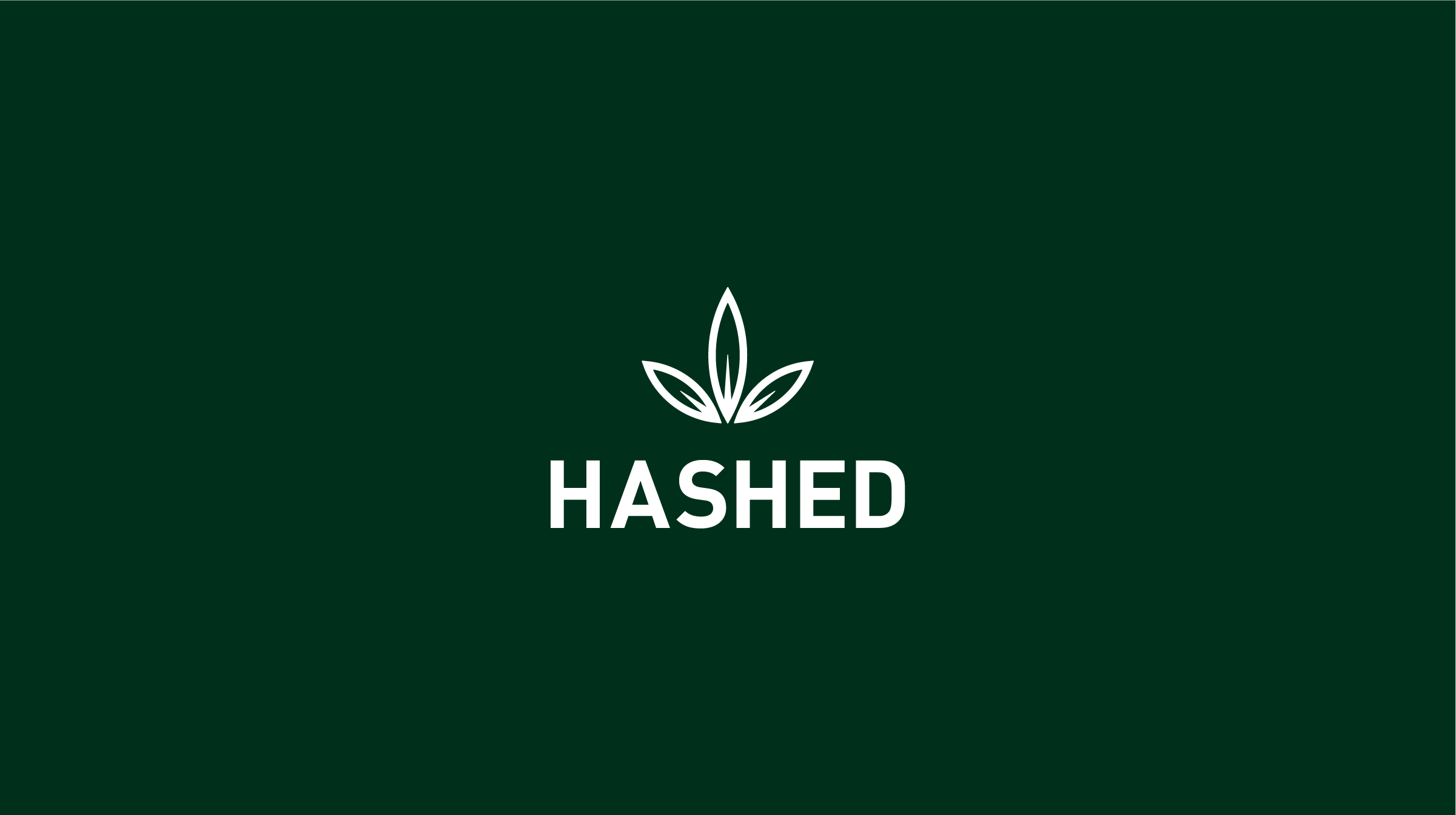Hashed Brand Identity and Packaging Design | Kaejon Misuraca
