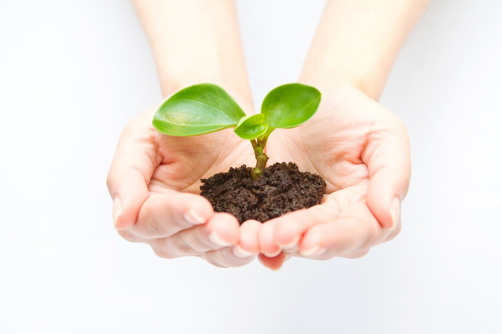 環境建築・省エネ計算コラム | CASBEEとZEBの違いと特徴