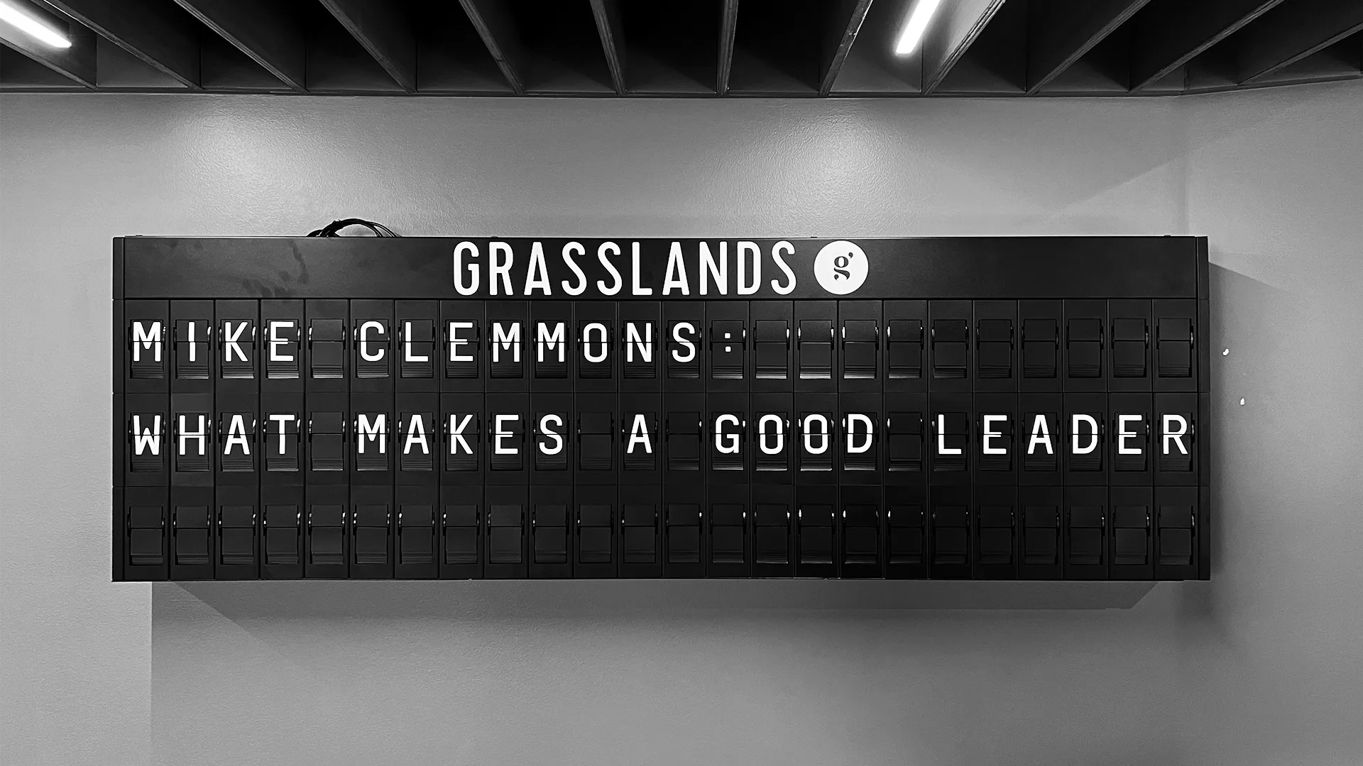 What Makes a Good Leader: The Weedsmith with Mike Clemmons
