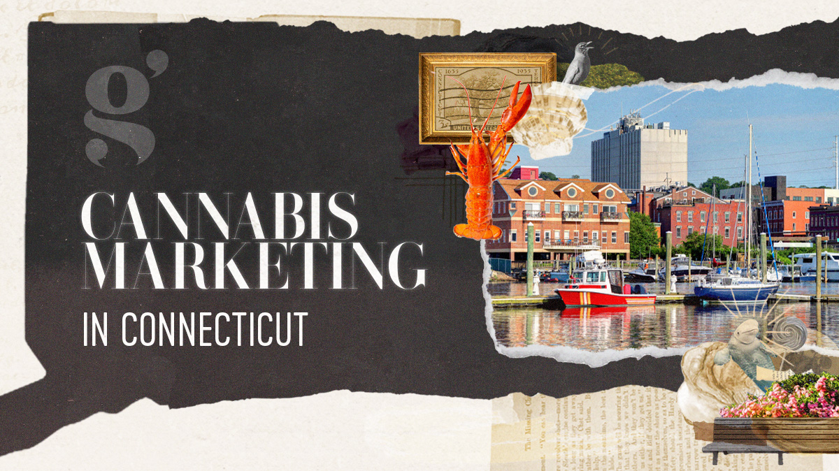 Cannabis Marketing in Connecticut - Grasslands