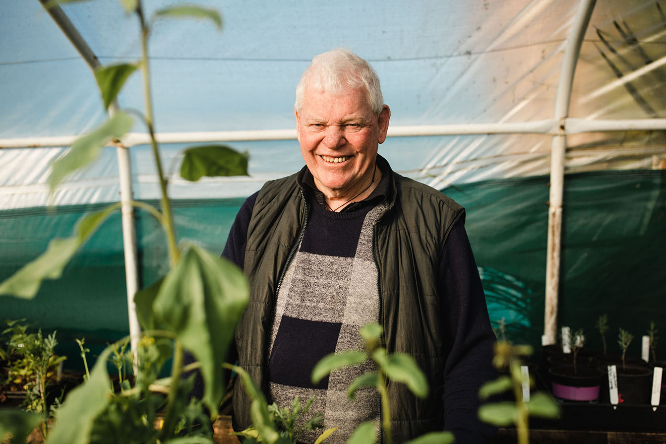 Healing Horticulture Marlborough s Garden Angel Nelson Anglicans K rero healing-horticulture-marlborough-s-garden-angel-nelson-anglicans-k-rero
