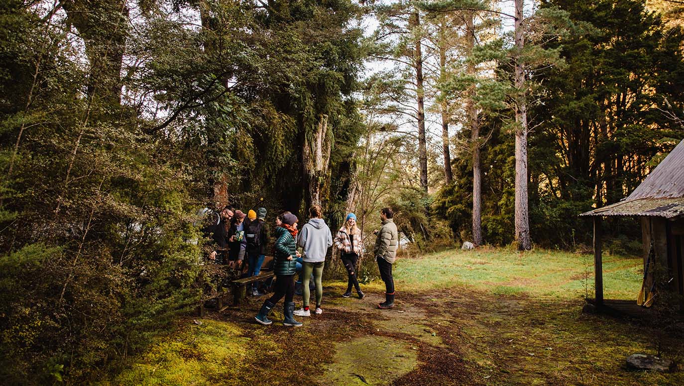 Mamaku Grove: wasting time to be with Jesus | Nelson Anglicans Kōrero