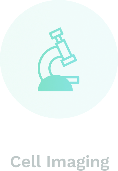 Product Applications