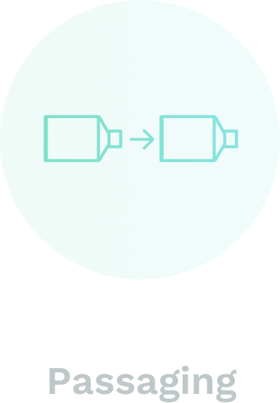 Product Applications