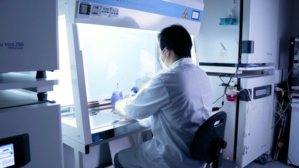 Product Applications