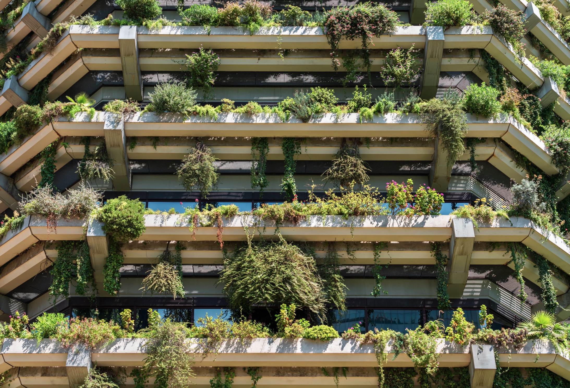 What are the Green Building Principles and How to Apply Them to Your Space?