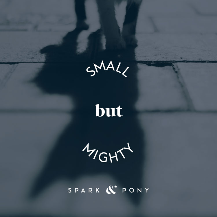 Spark & Pony Creative