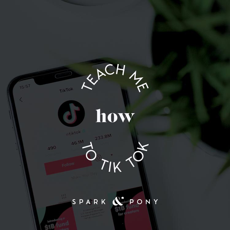 Spark & Pony Creative