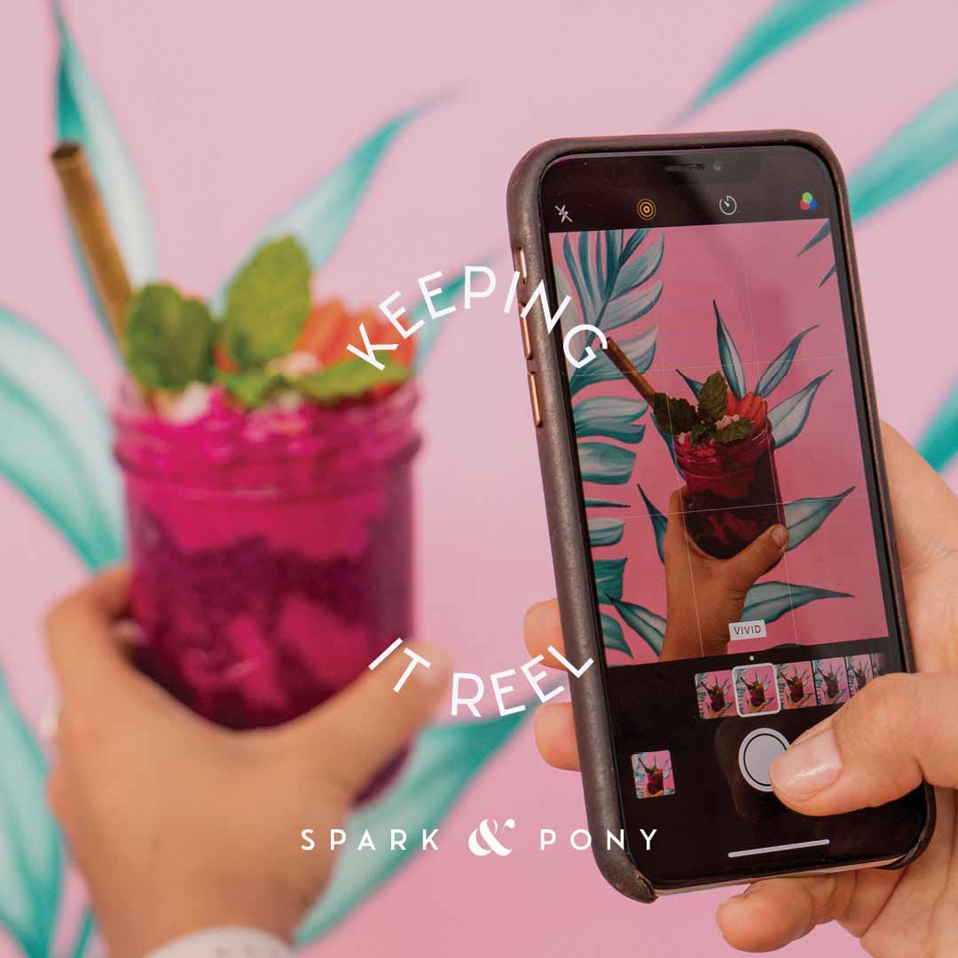 Spark & Pony Creative