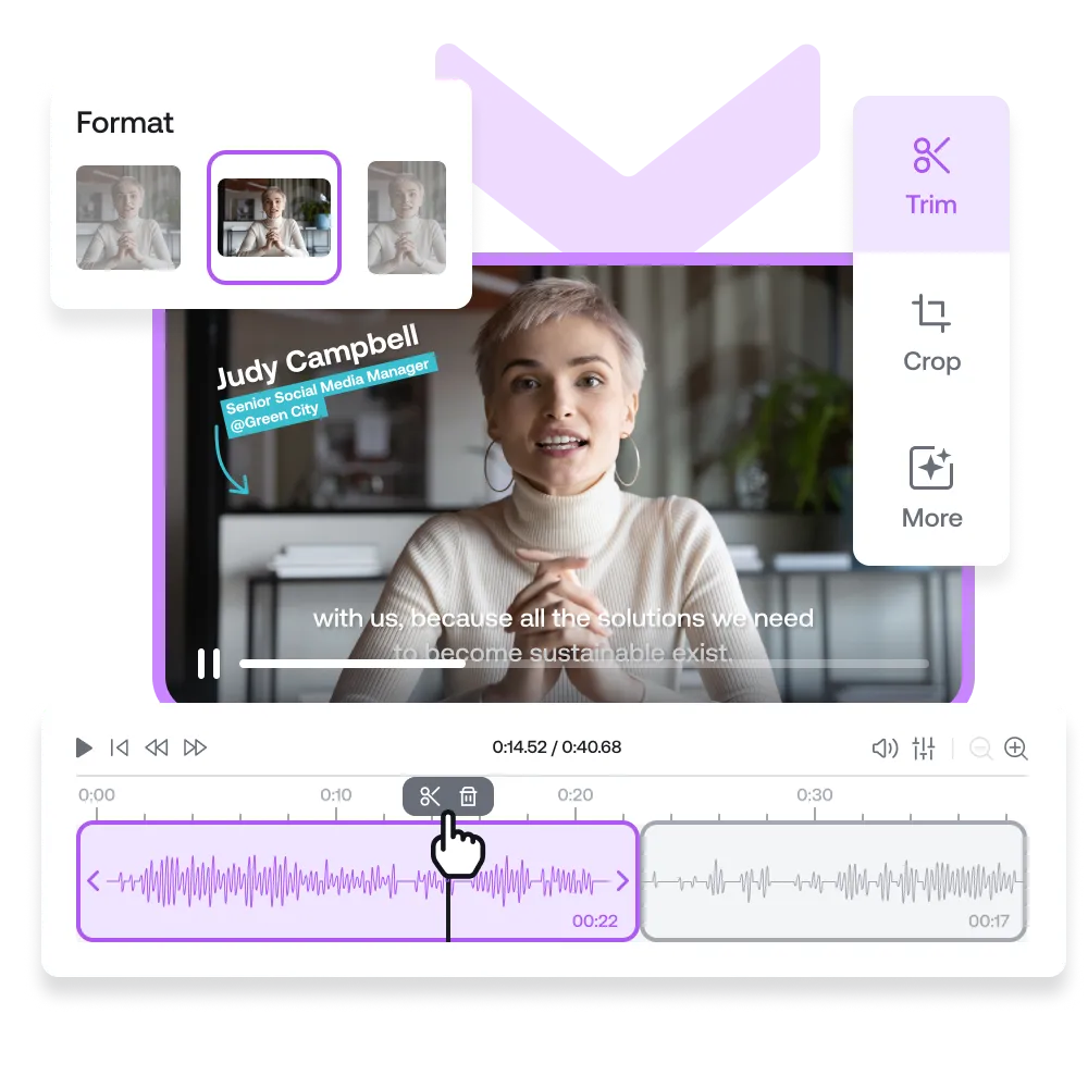 Online Facebook Video Editor | Fast and Easy - PlayPlay