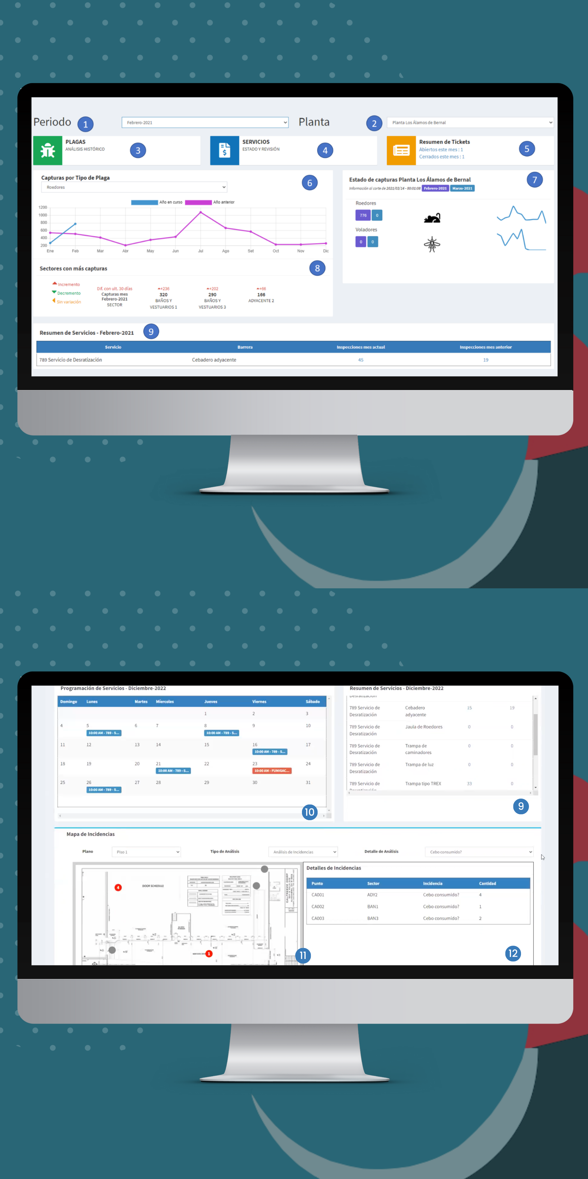 Conoce nuestro software de MIP | Rupipest