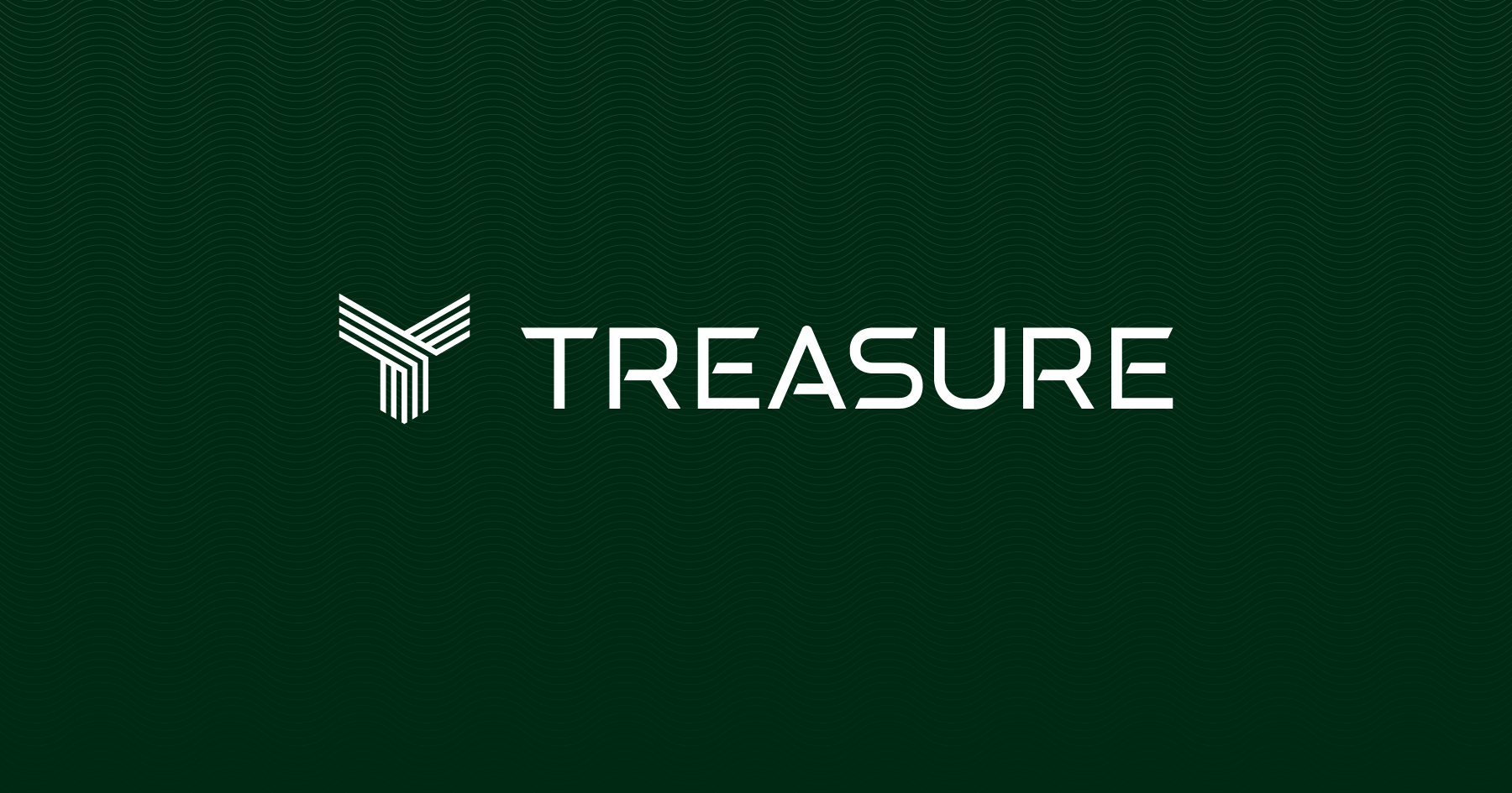 Corporate Cash Management | Investment Disclosure - Treasure