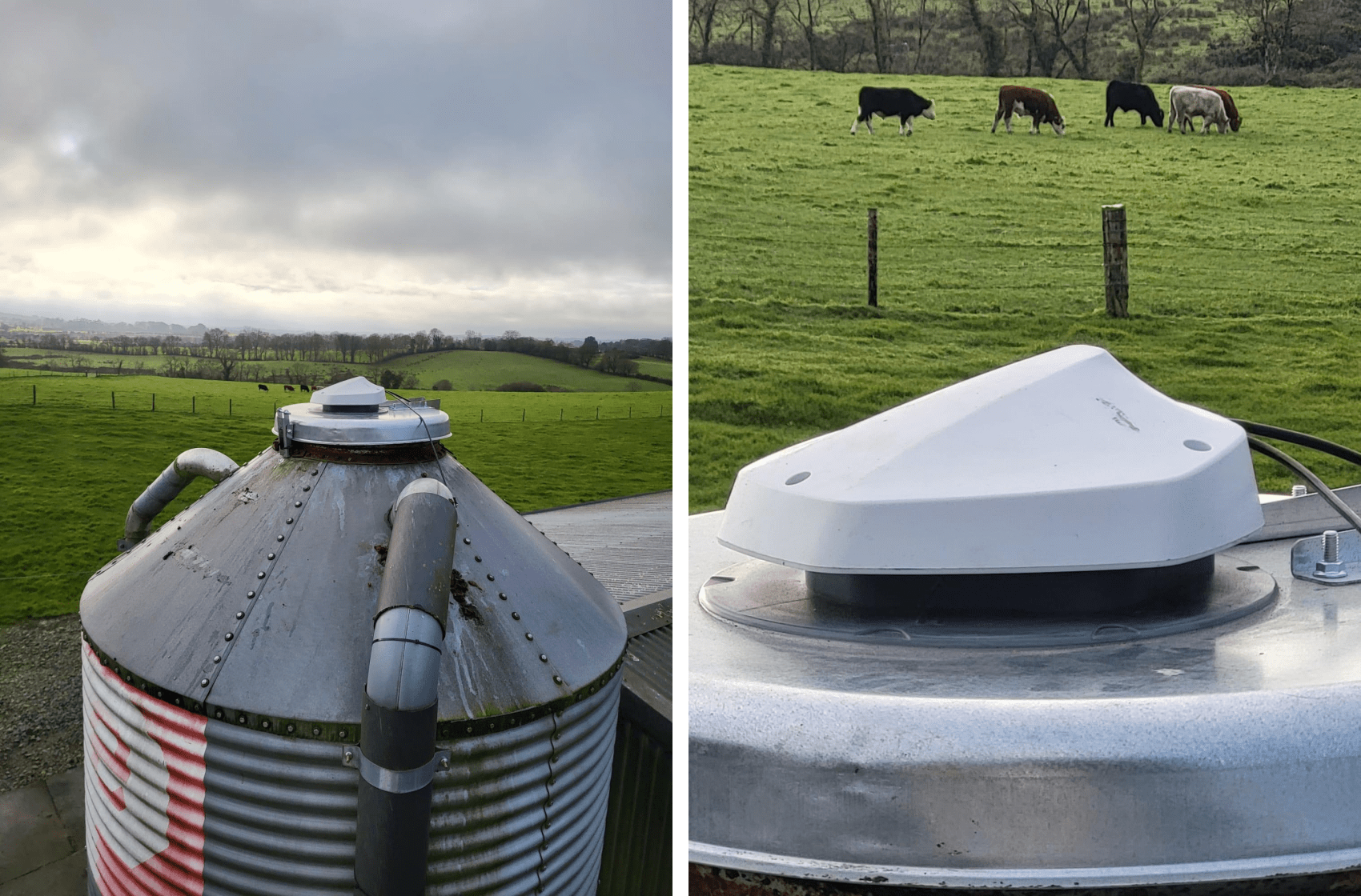 Revolutionizing Grain Storage Measurement: SiloSpi’s Connectivity ...