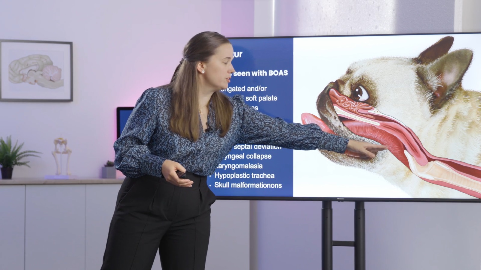 ELEARNING.VET - Memberships Veterinary Professionals, UK