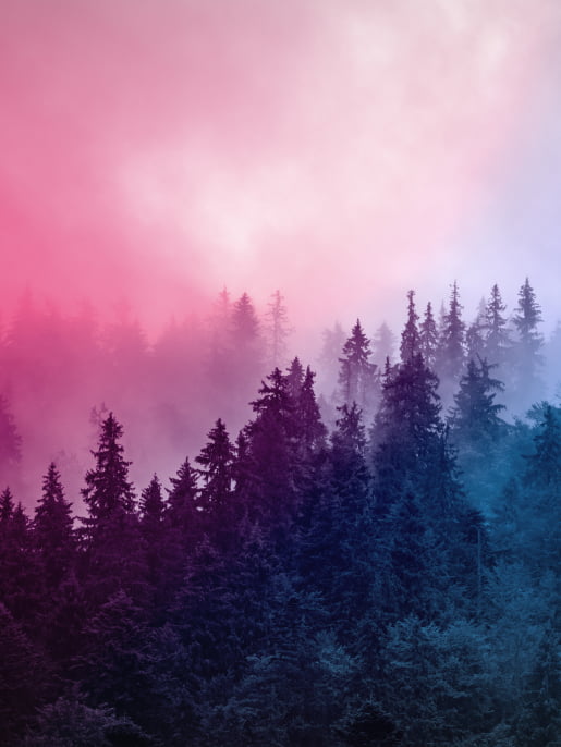 The Weather Group | Pattrn