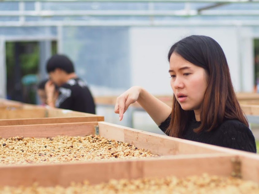 Coffee Quality Institute provides coffee education throughout the ...