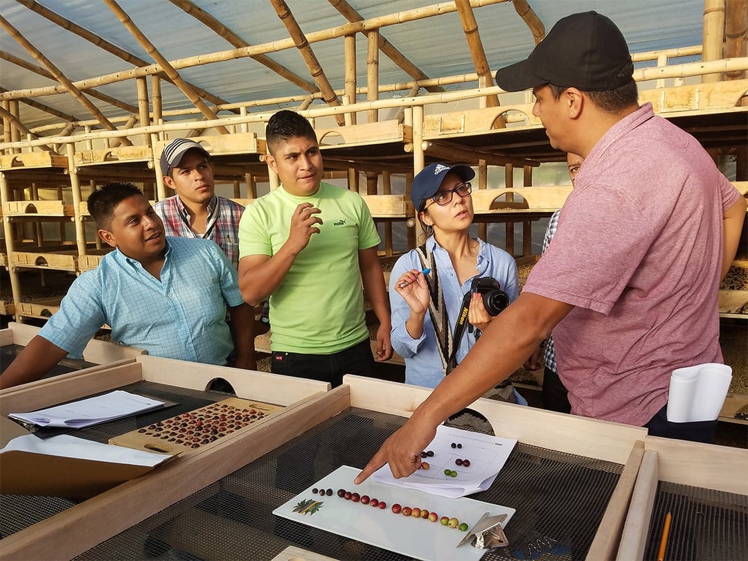 Coffee Quality Institute provides coffee education throughout the ...