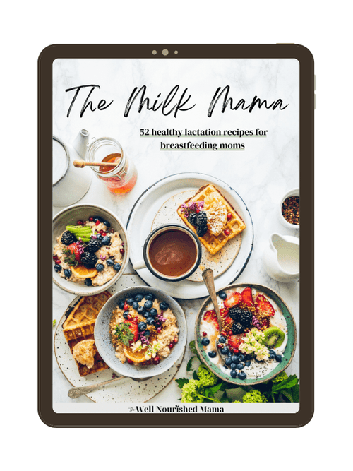 The Well Nourished Mama - Recipes & Resources for Moms