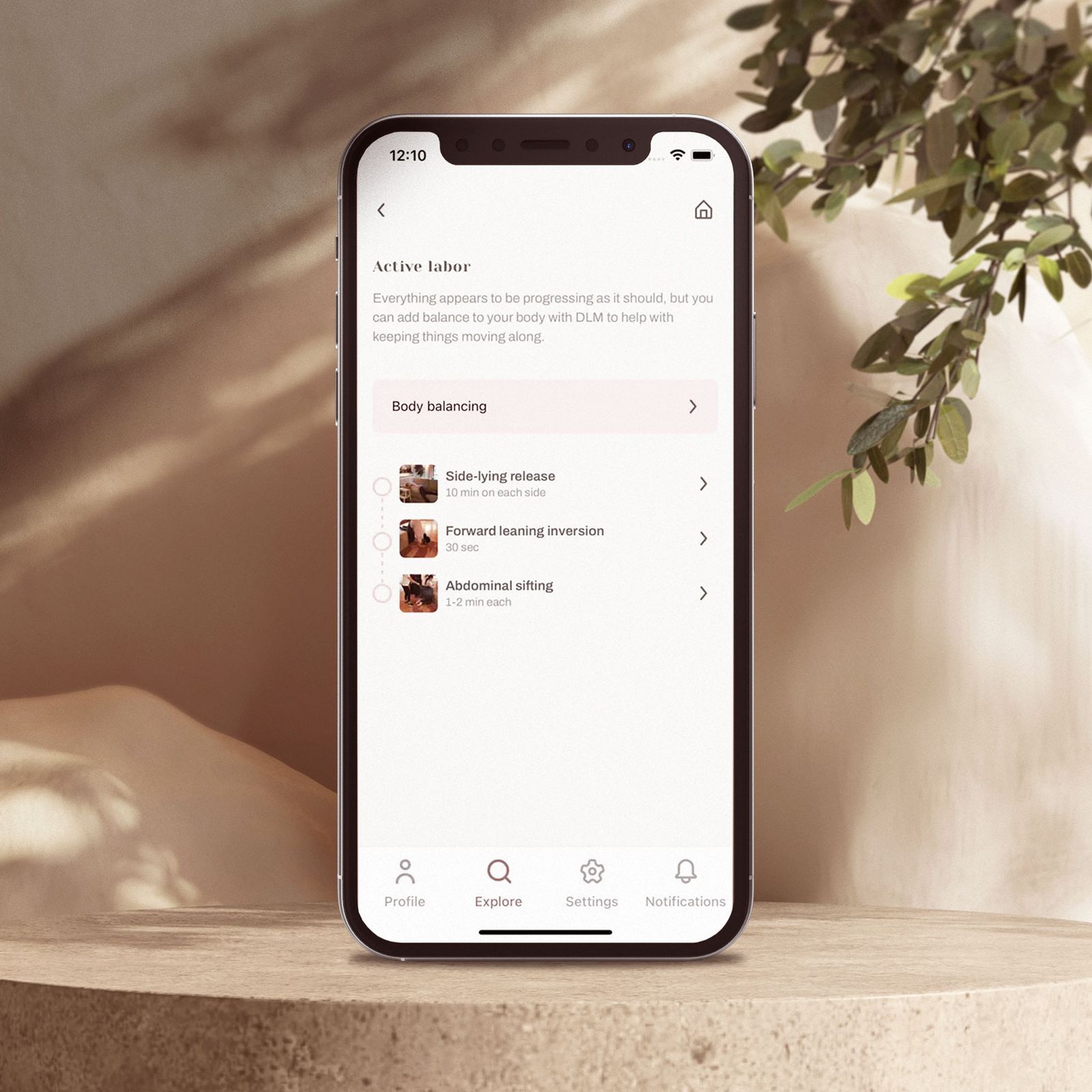 The Dysfunctional Labor Maneuver App | Marya Eddaifi