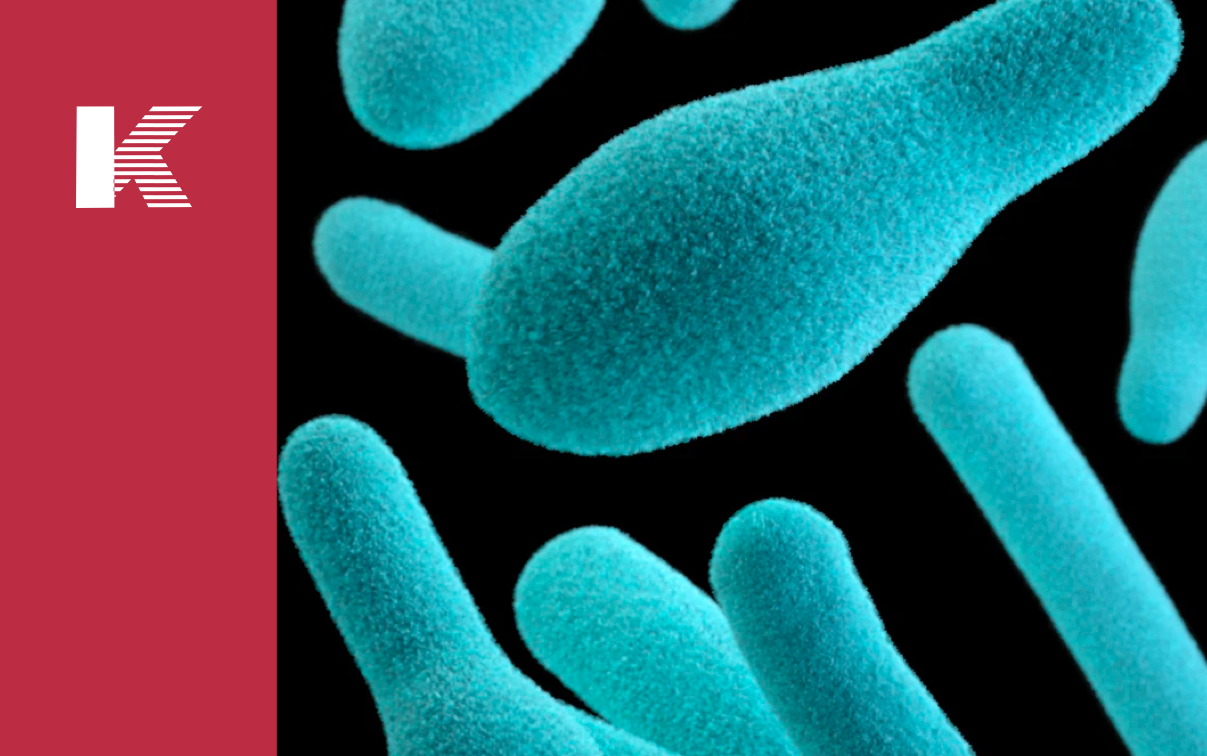 Blue Light Reduces Photosynthetic Efficiency of Cyanobacteria - Kaiyan ...