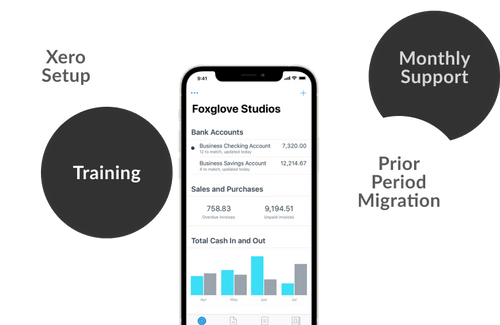Alpha Pro Partners: Bookkeeping, Accounting with Xero Experts