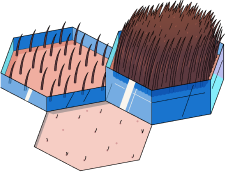 The 7 Stages Of Balding And How to Treat Each Phase | Pilot