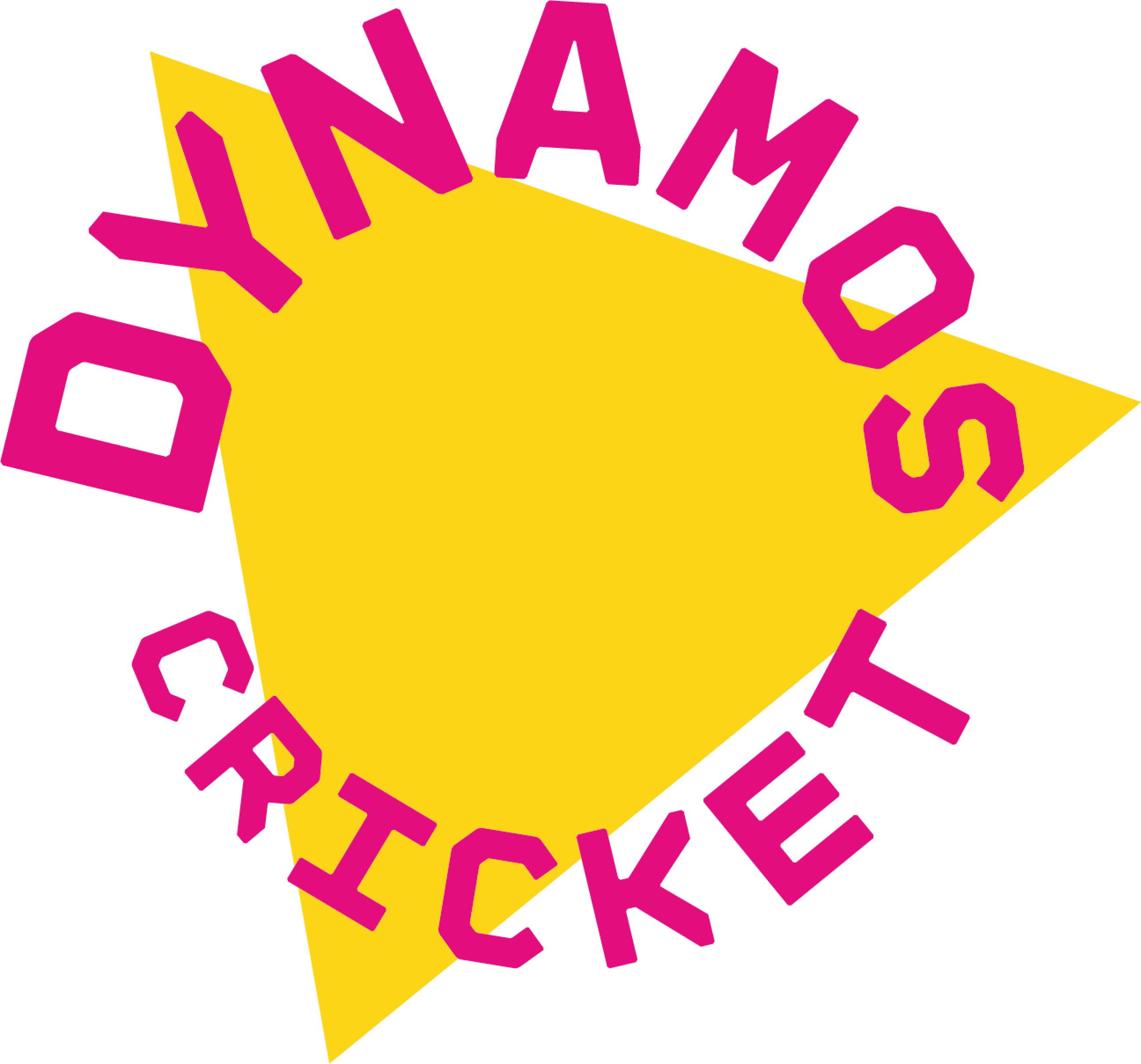 Witham Friary Cricket Club — Junior Cricket