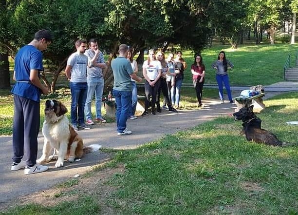 O nama - UrbanDOG | Obuka Pasa - Beograd