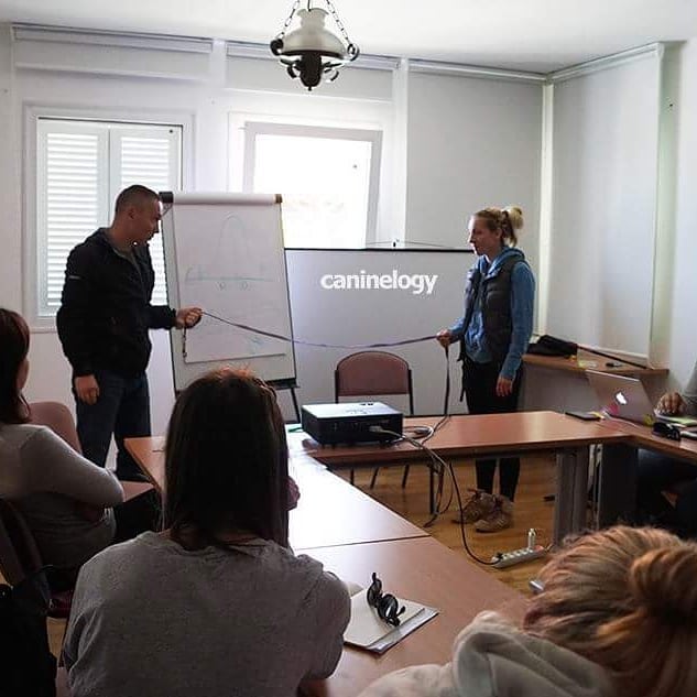 O nama - UrbanDOG | Obuka Pasa - Beograd