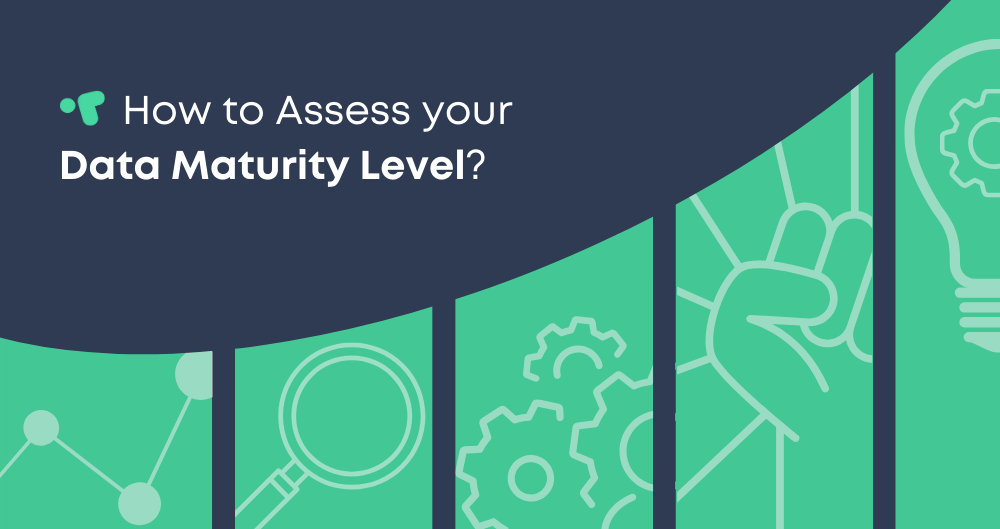 How to Assess your Data Maturity Level?