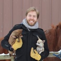 AlignAI - AI Adoption Platform