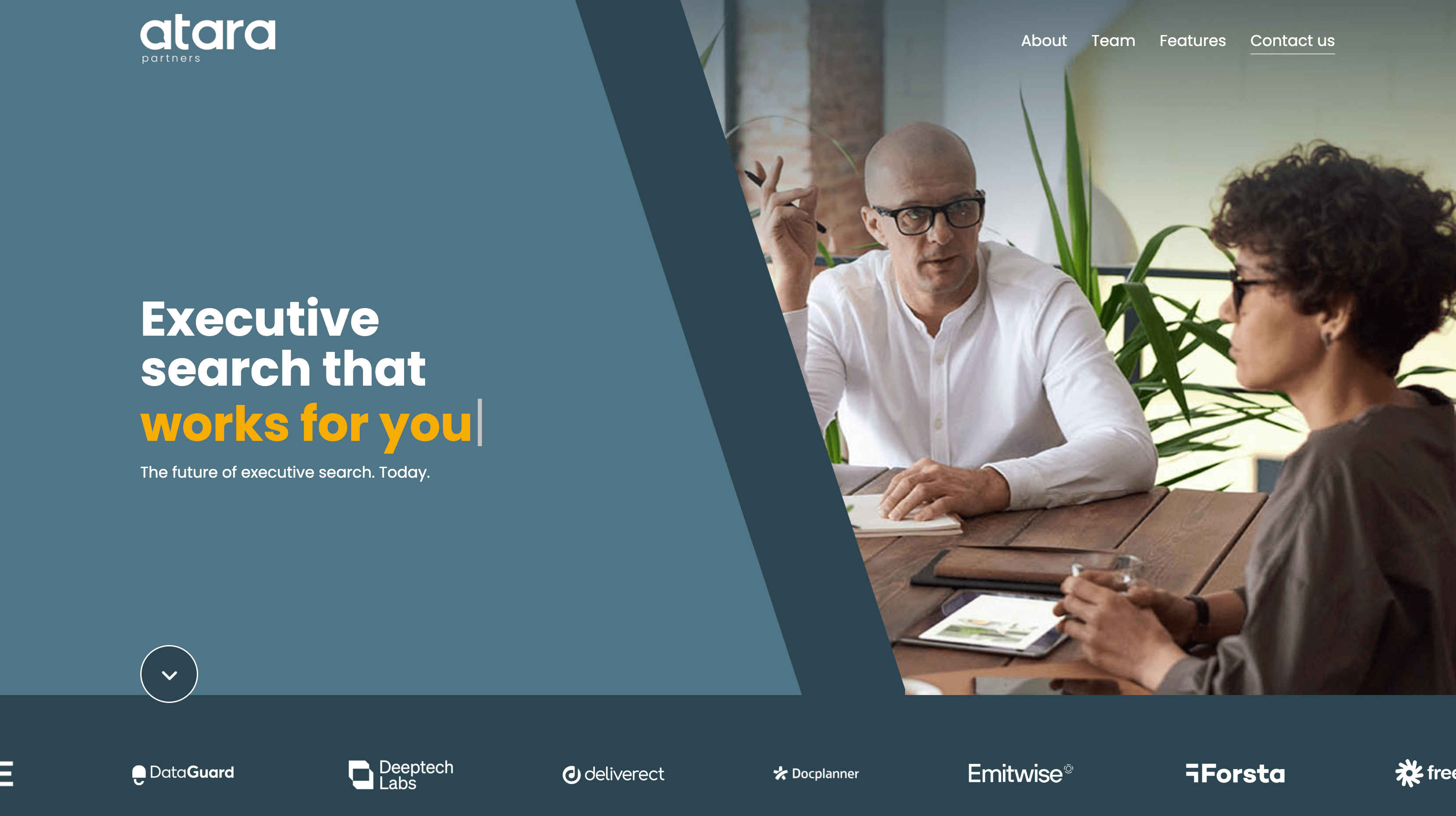 Atara Partners - Executive Search That Delivers