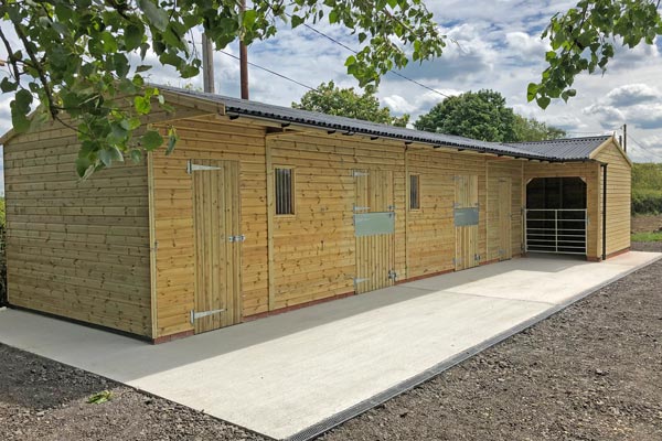 Colt Stables & Field Shelters | Best Value Horse Stables