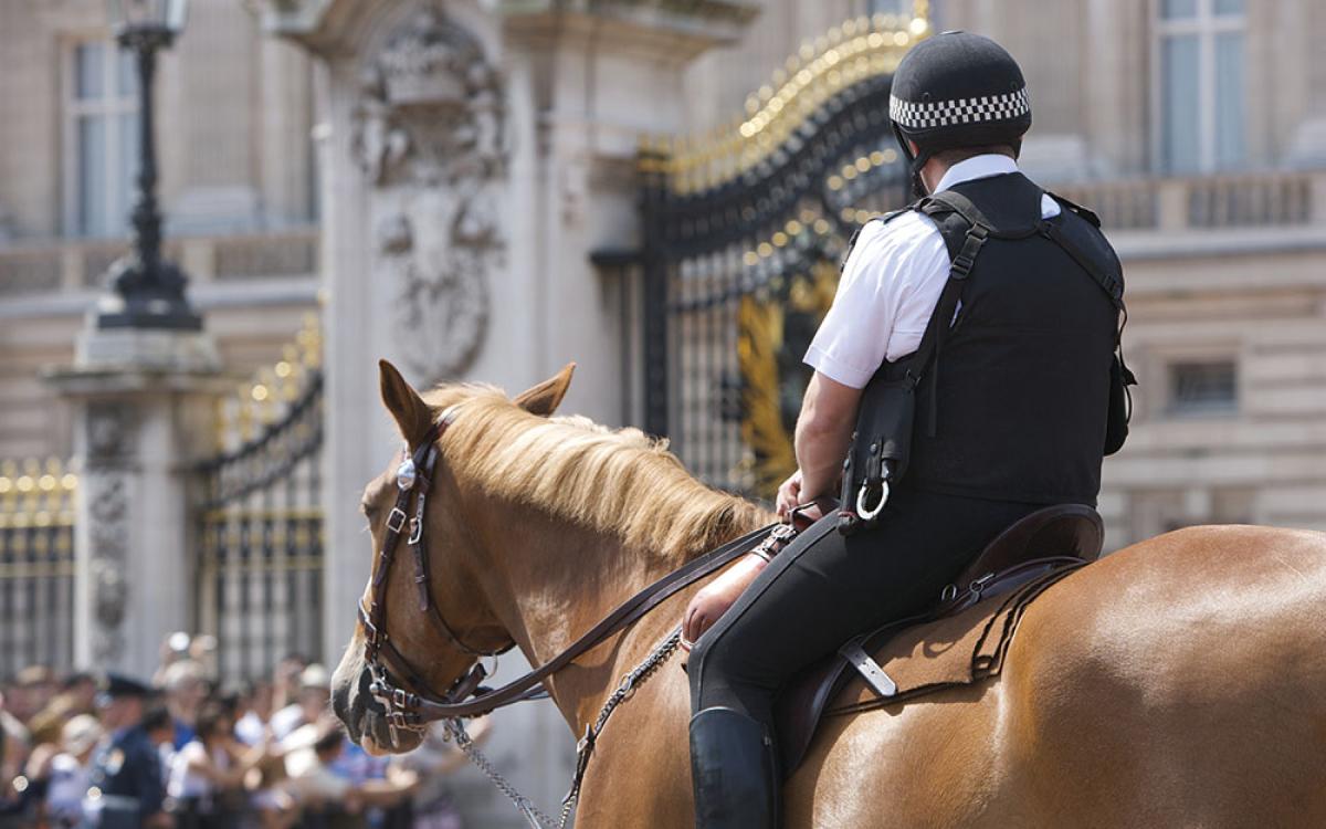 Metropolitan Police Service Baseline Benefits Studies