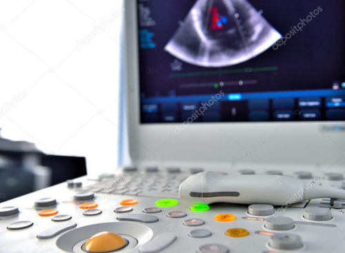 The Animal Cardiology Center | For Veterinarians | Board Certified ...