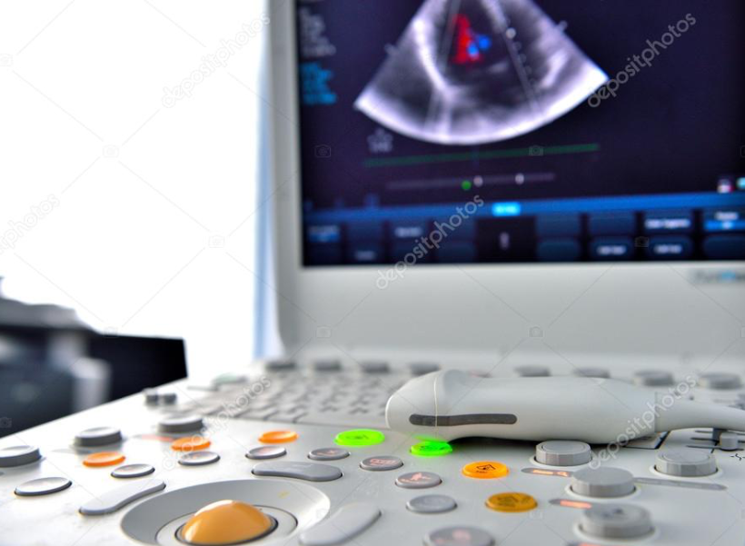 The Animal Cardiology Center | For Veterinarians | Board Certified ...