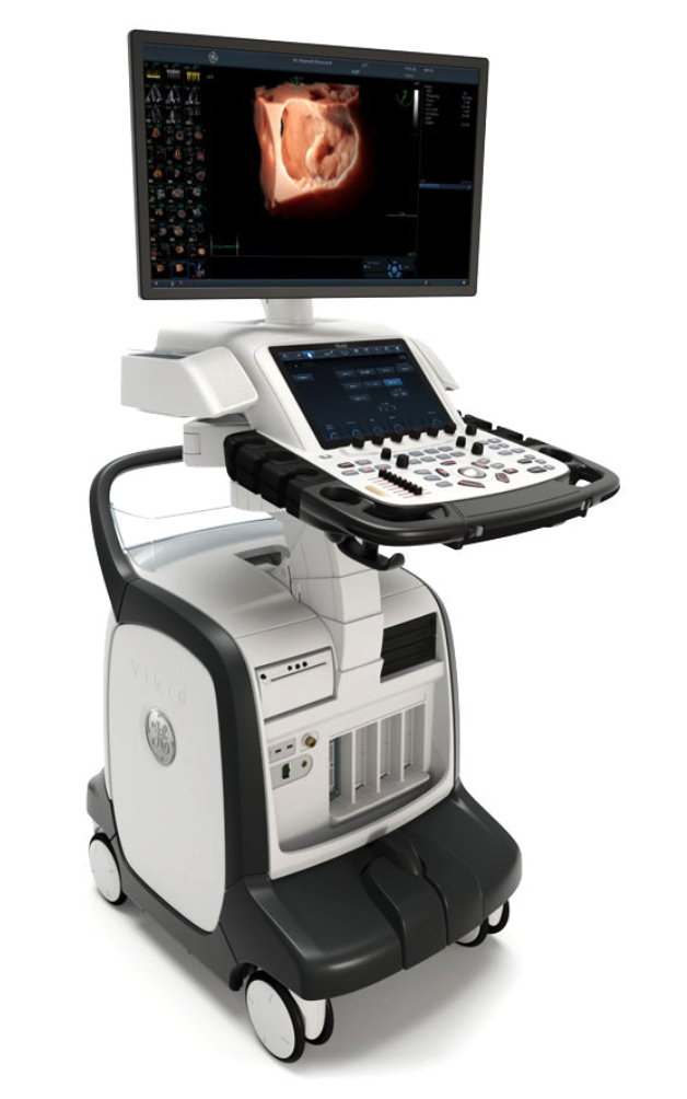 The Animal Cardiology Center (TACC) | New York Veterinary Cardiologist ...