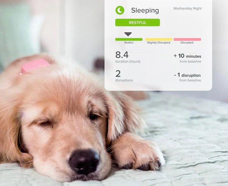 Wearable technologies