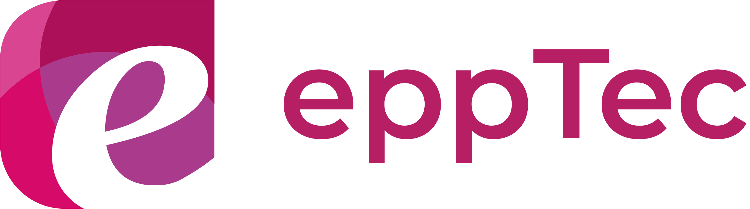 Software development, business consulting, team lease | epptec