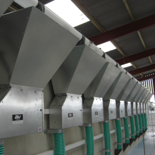 Herringbone Parlour Feeding