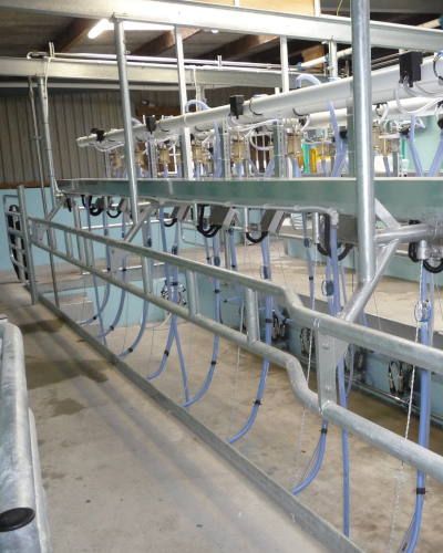 HD50 Doubled Up Milking Parlour