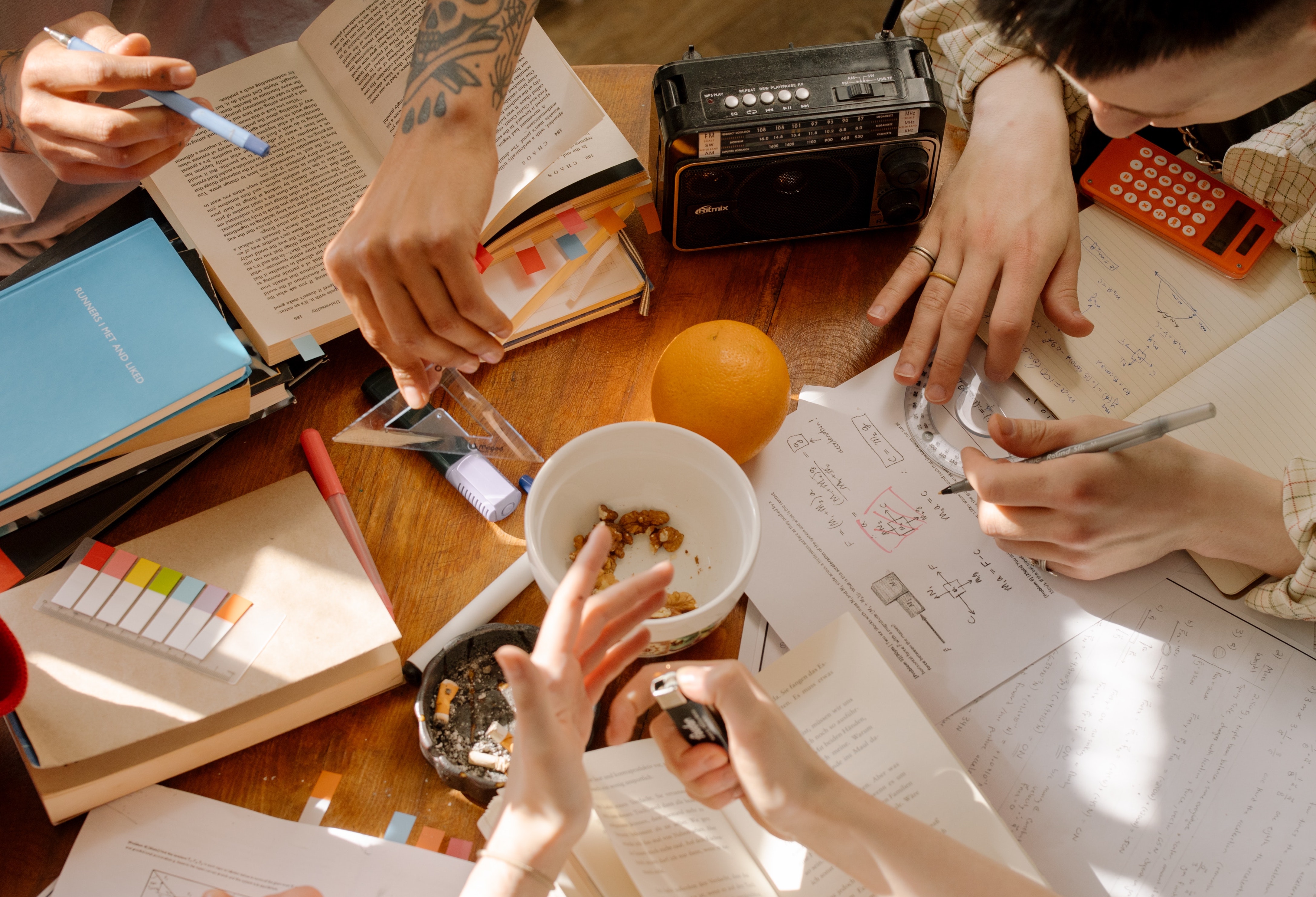 Higher Education And Study Programs simplified | Amber