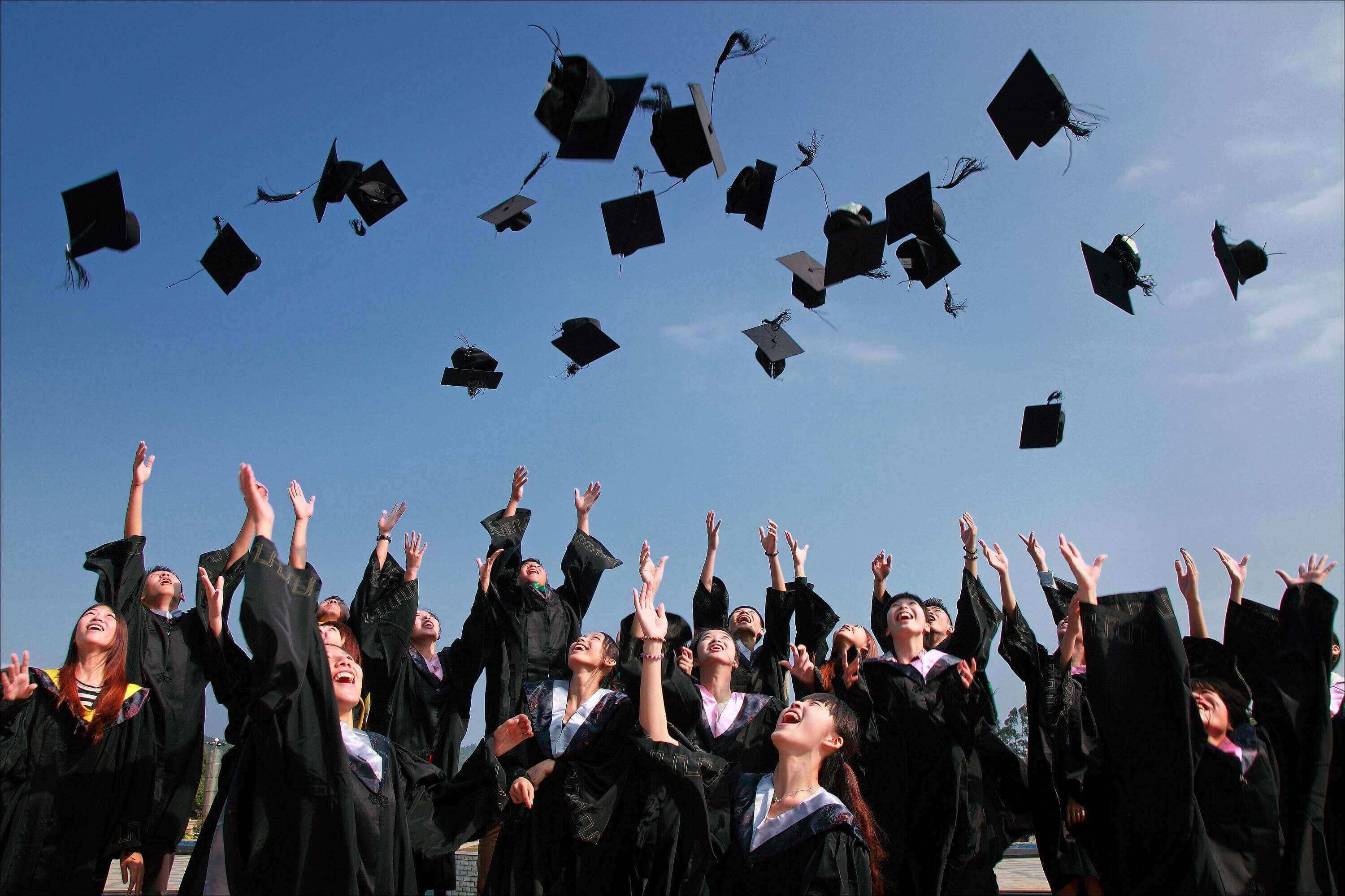 Double degree – is it a better choice for you? | Amber